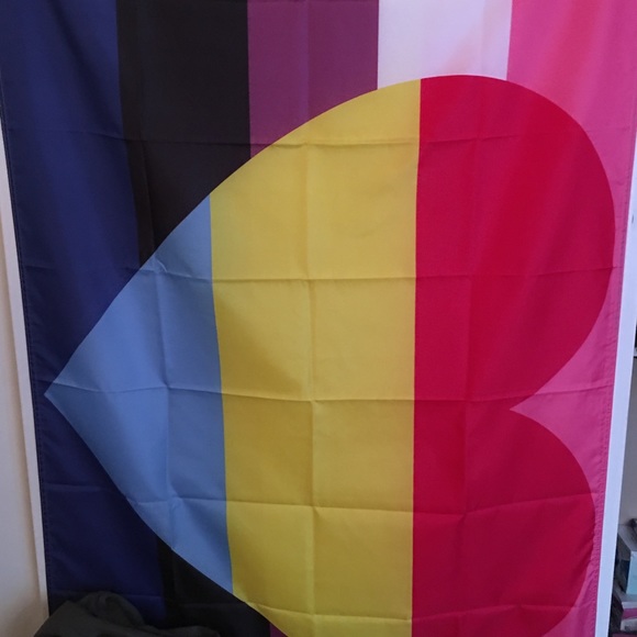 Wall Decor | Pansexual Genderfluid Pride Flag 3x5 Ft Lgbtqia | Poshmark